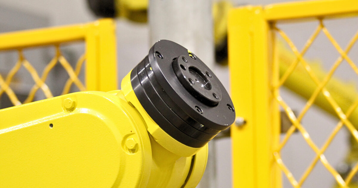 Navigating the Challenges of Delicate Item Handling in… | Robots.com