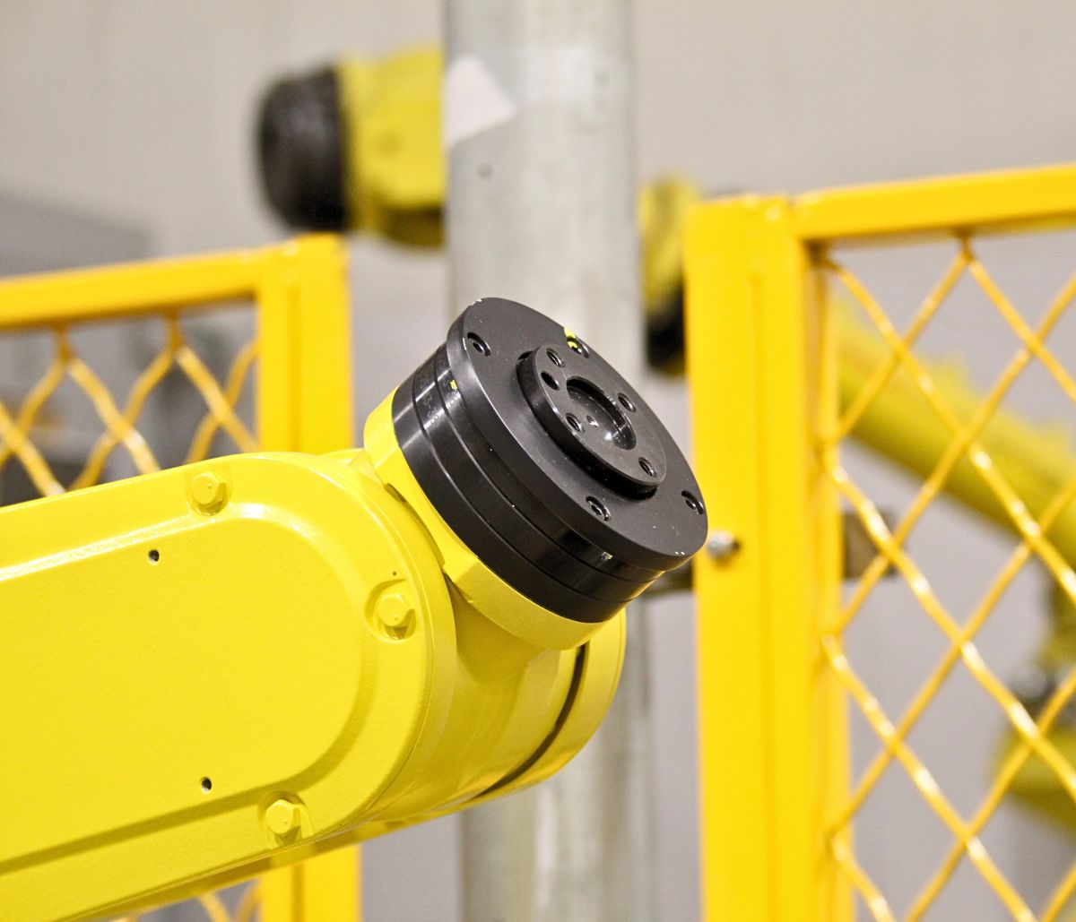 Navigating the Challenges of Delicate Item Handling in… | Robots.com