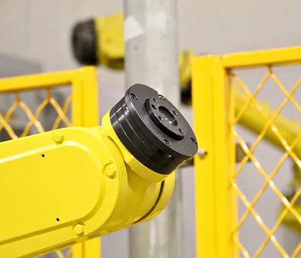 Navigating the Challenges of Delicate Item Handling in… | Robots.com