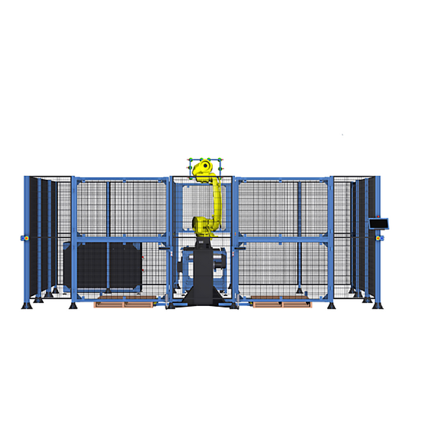 Turnkey Palletizer: Single Belt Infeed & Dual Outfeed with New Fanuc…