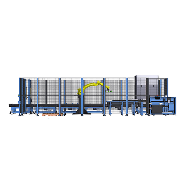Turnkey Palletizer: Single Belt Infeed & Automated Outfeed with…