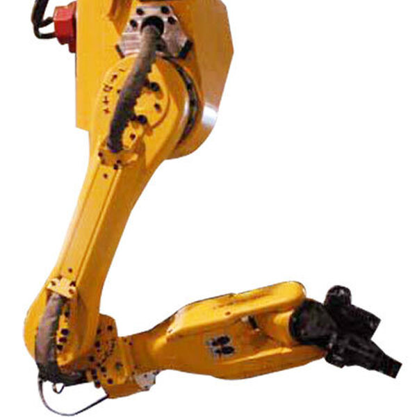 Fanuc M-6iT Robot | Robots.com